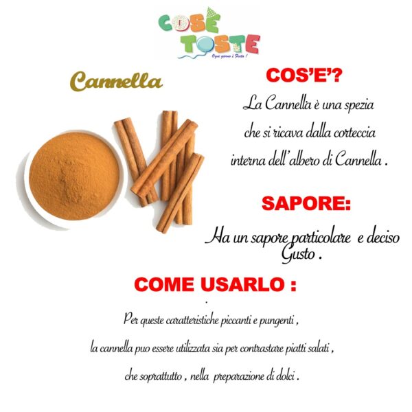 CANNELLA MACINATA -1 KG- CANNAMELA